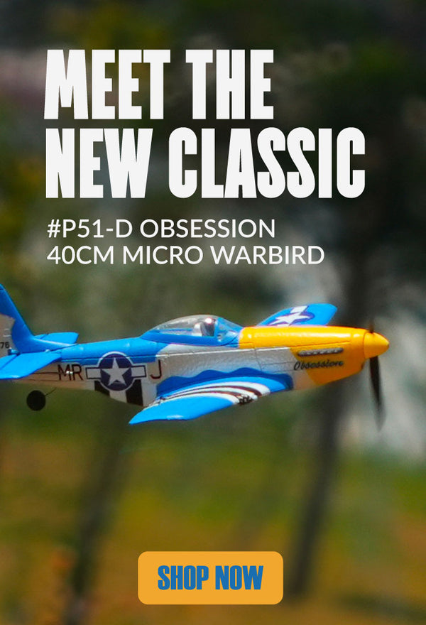 RC Planes - Remote Control Model RC Airplanes - EXHOBBY