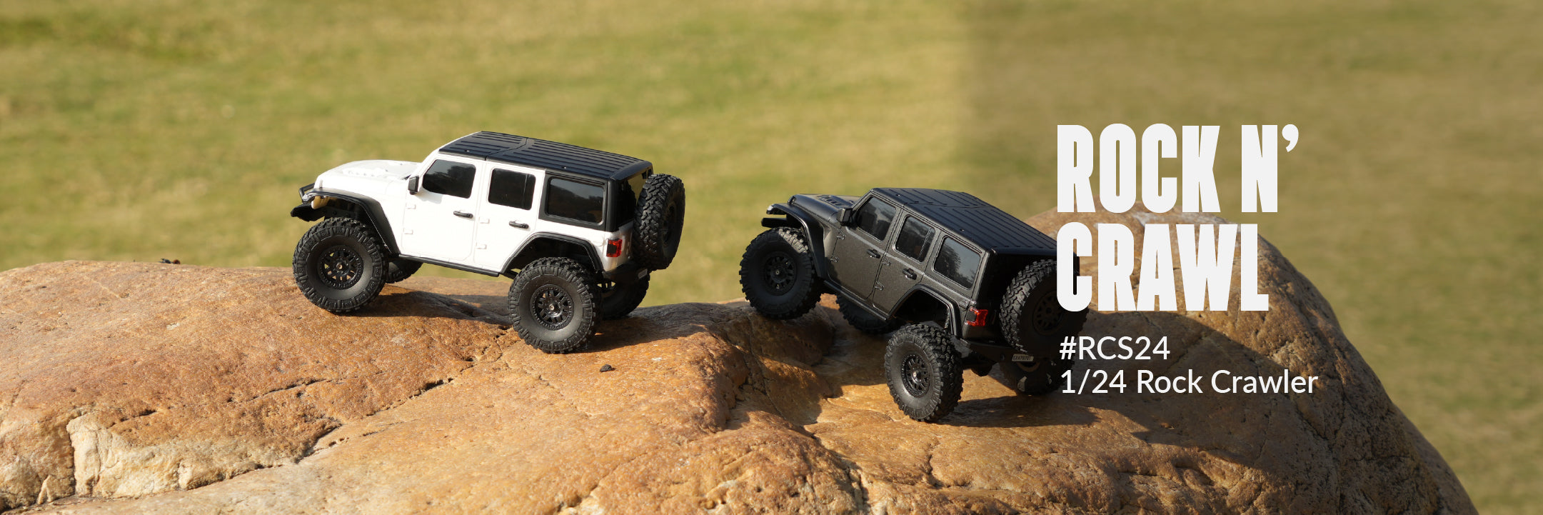 RC Cars & Trucks | High-Performance RC Vehicles for Sale