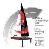 BEST Sale Rc Sailboats-Remote Control For Adults